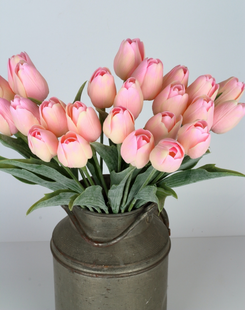 Francouzský tulipán jemně růžový